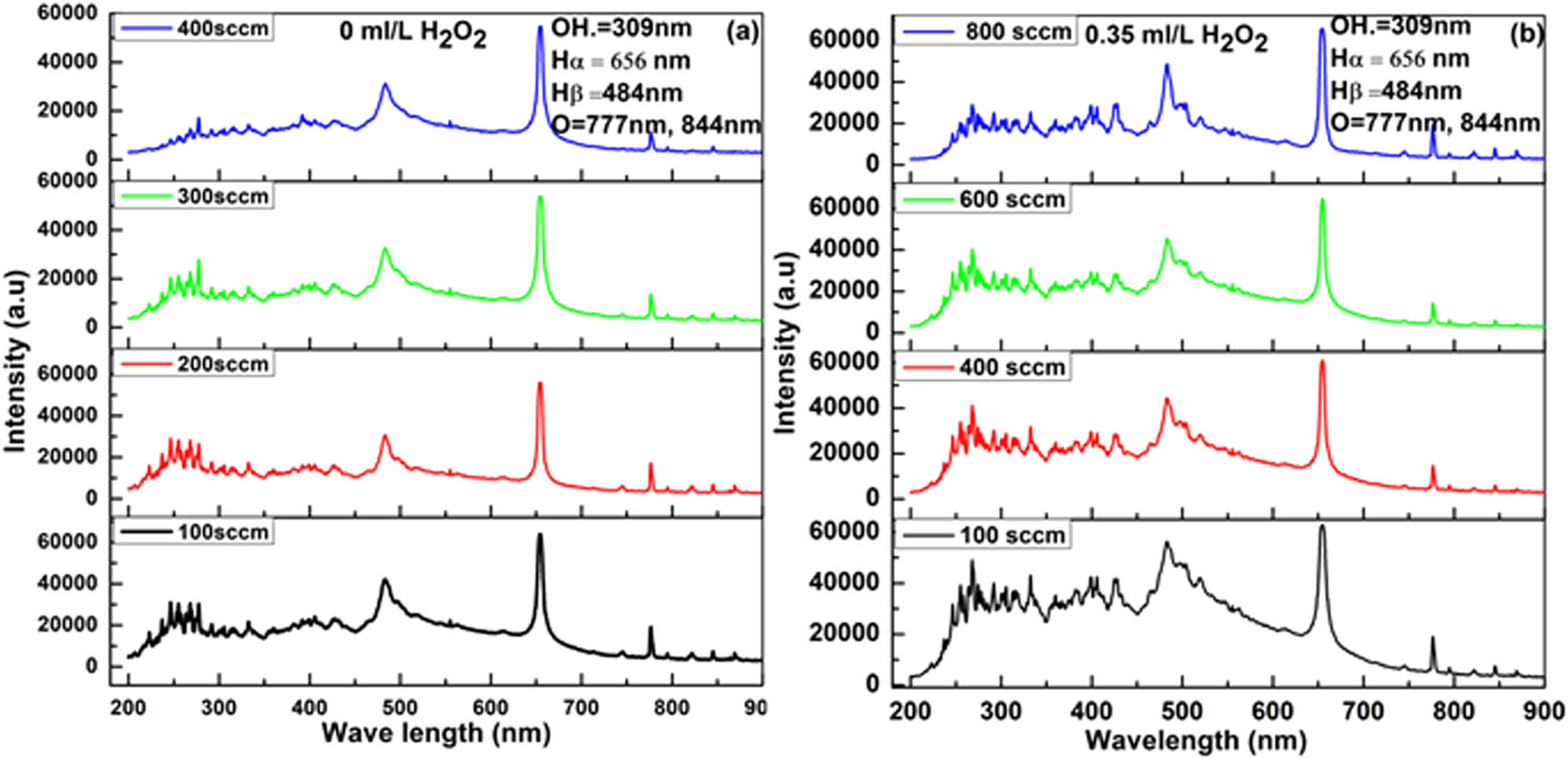 Degradation of Vibrio cholerae from drinking water by the...