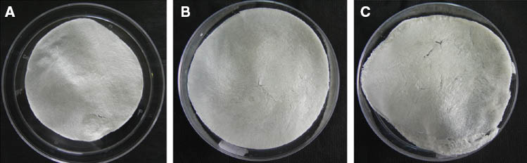 Preparation of alginate membrane for tissue engineering