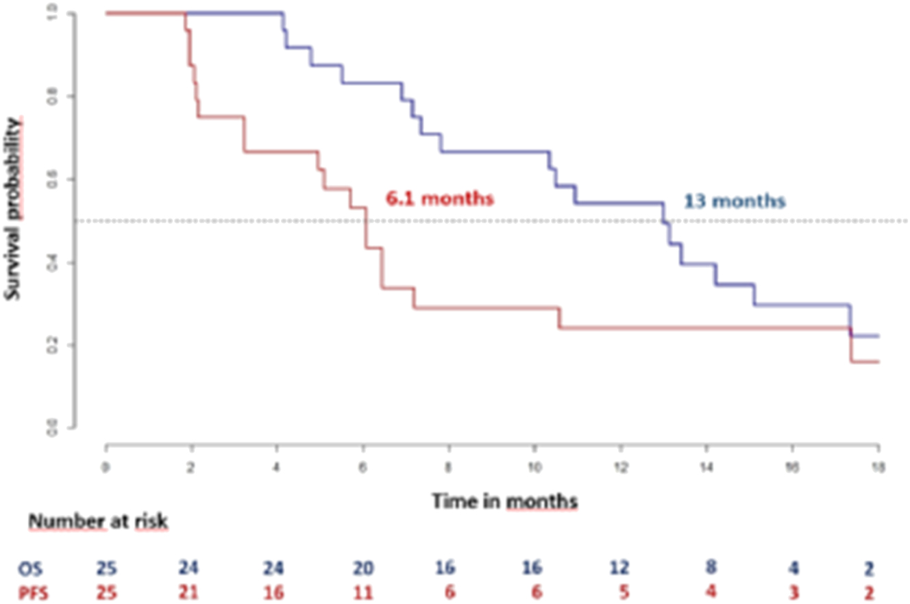 14th PSOGI-ISSPP International congress on Peritoneal Surface Malignancies*