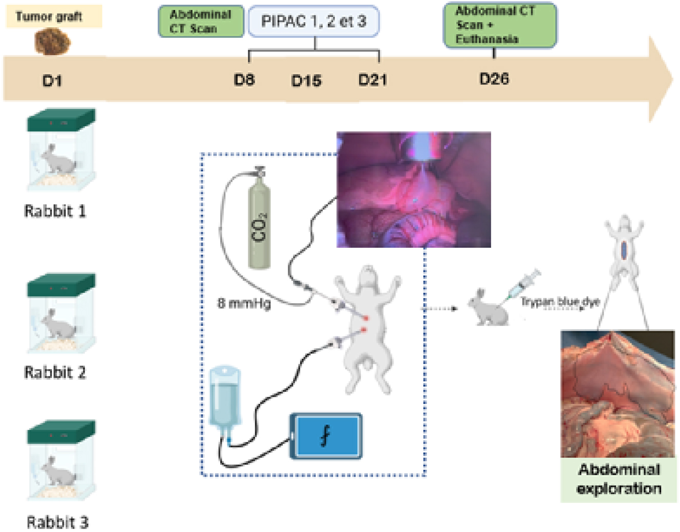 14th PSOGI-ISSPP International congress on Peritoneal Surface Malignancies*