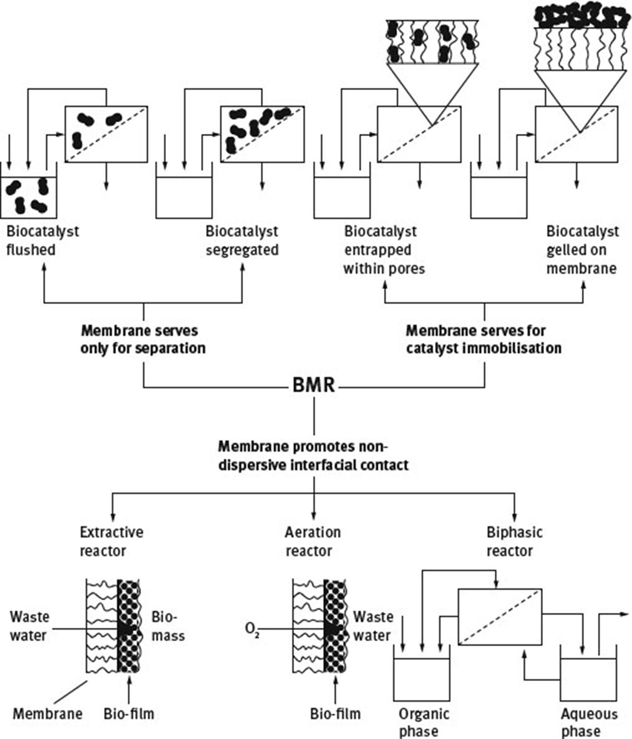 Biocatalytic membrane reactors (BMR)