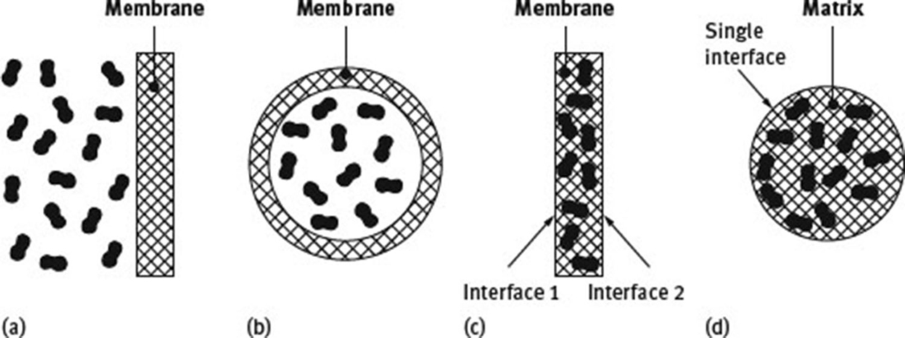 Biocatalytic membrane reactors (BMR)