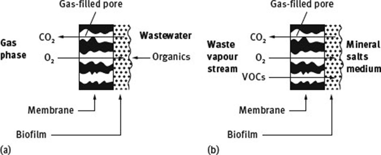 Biocatalytic membrane reactors (BMR)