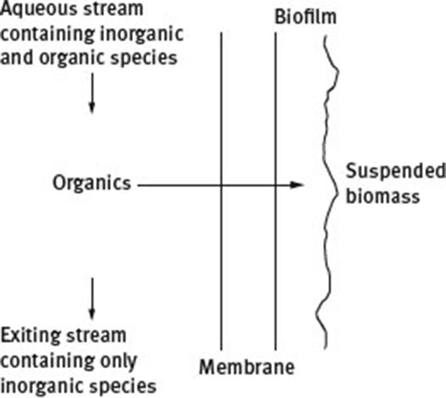Biocatalytic membrane reactors (BMR)
