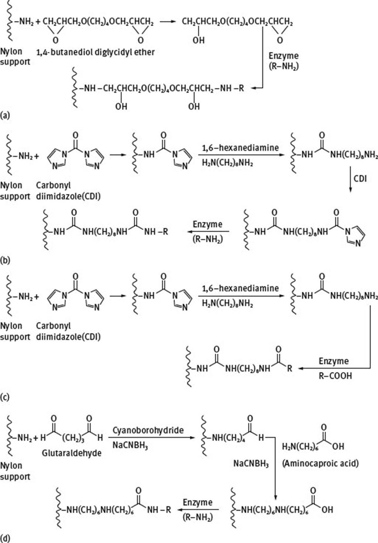 Biocatalytic membrane reactors (BMR)