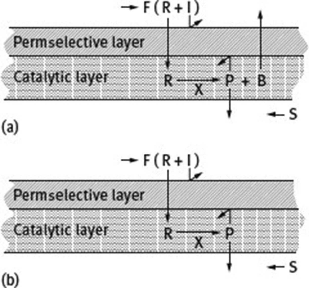 Biocatalytic membrane reactors (BMR)