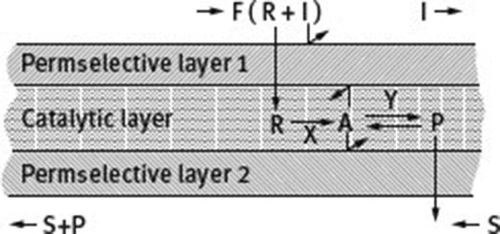Biocatalytic membrane reactors (BMR)