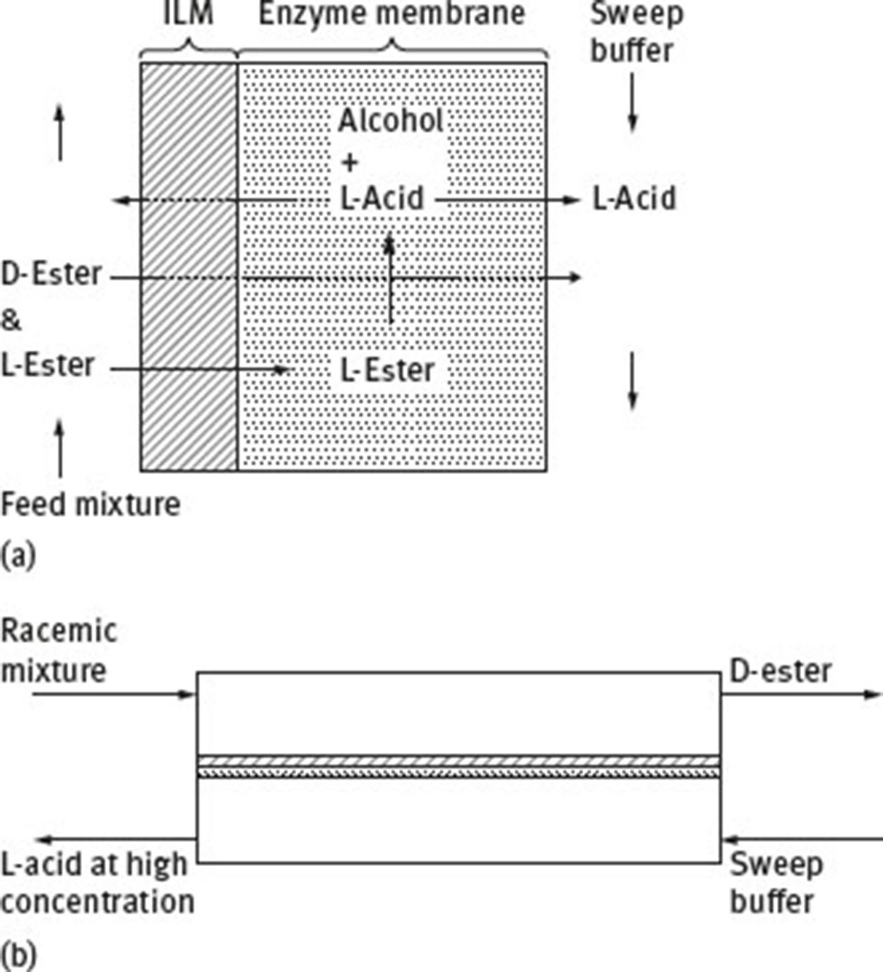 Biocatalytic membrane reactors (BMR)