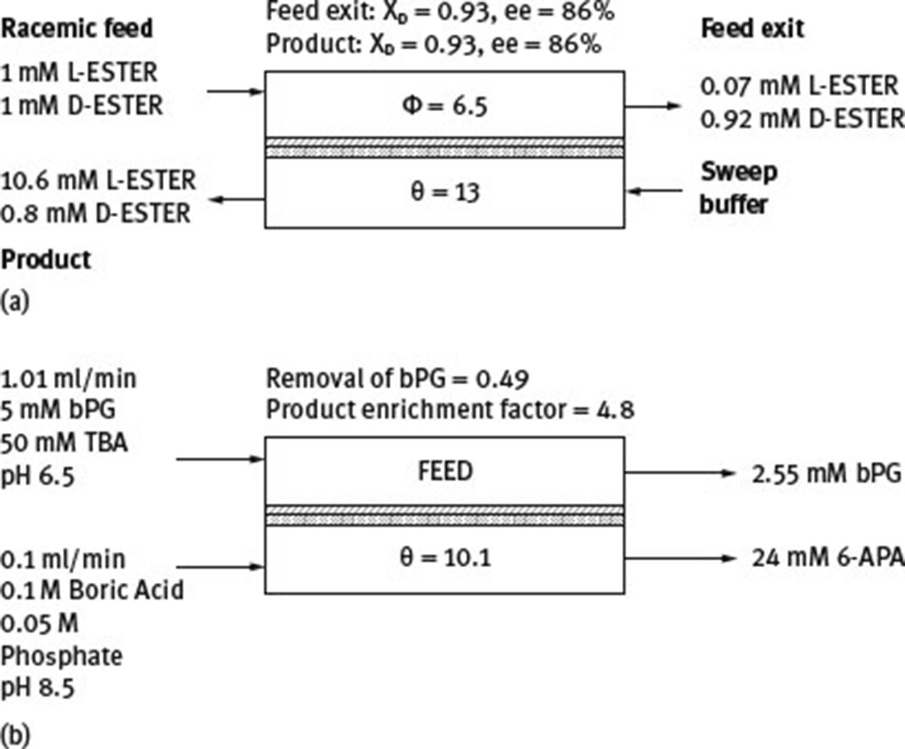 Biocatalytic membrane reactors (BMR)