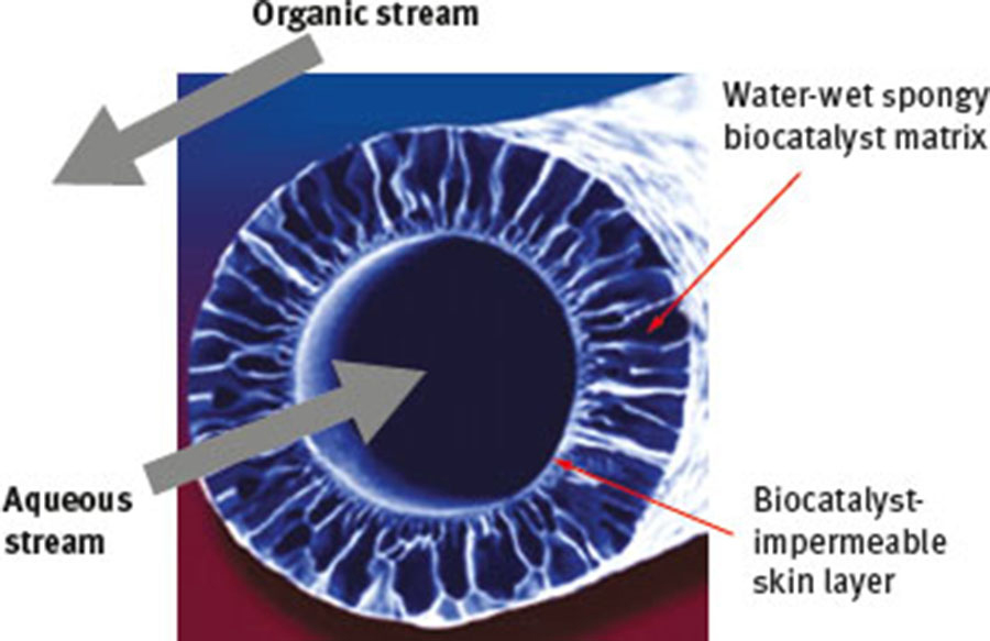 Biocatalytic membrane reactors (BMR)