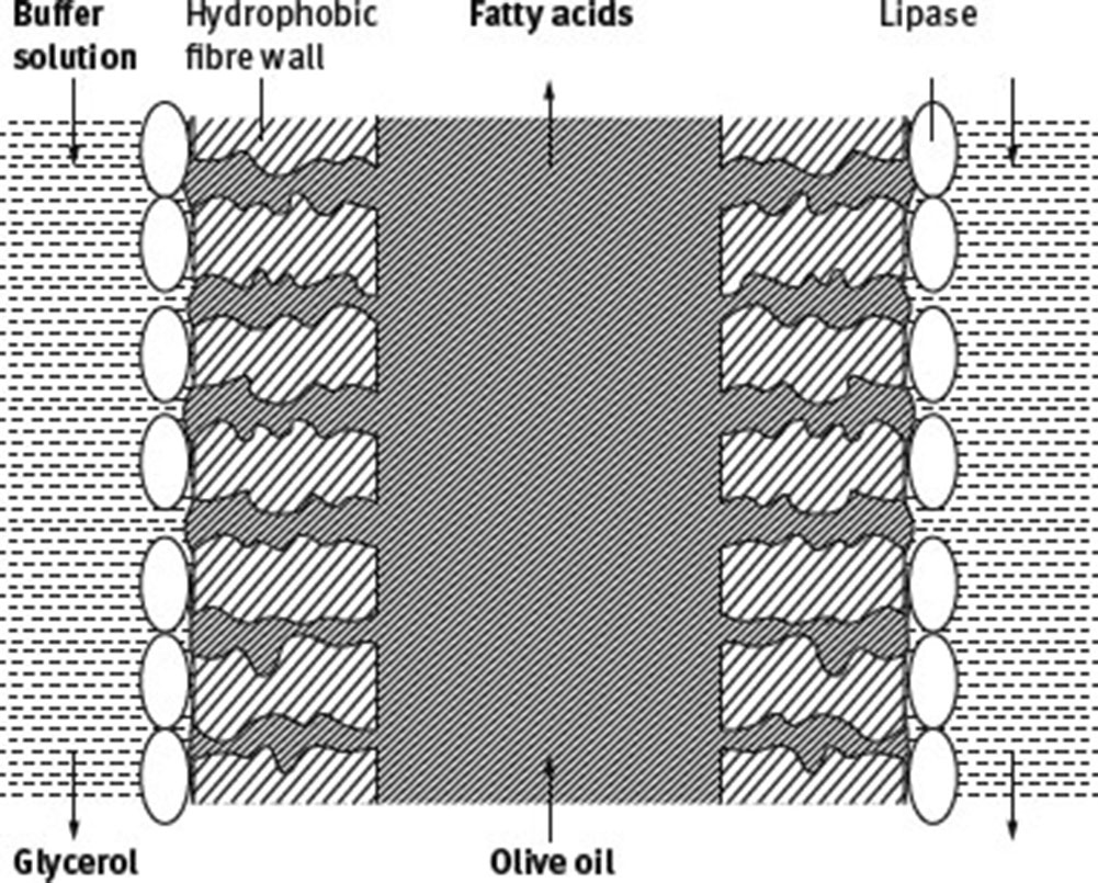 Biocatalytic membrane reactors (BMR)
