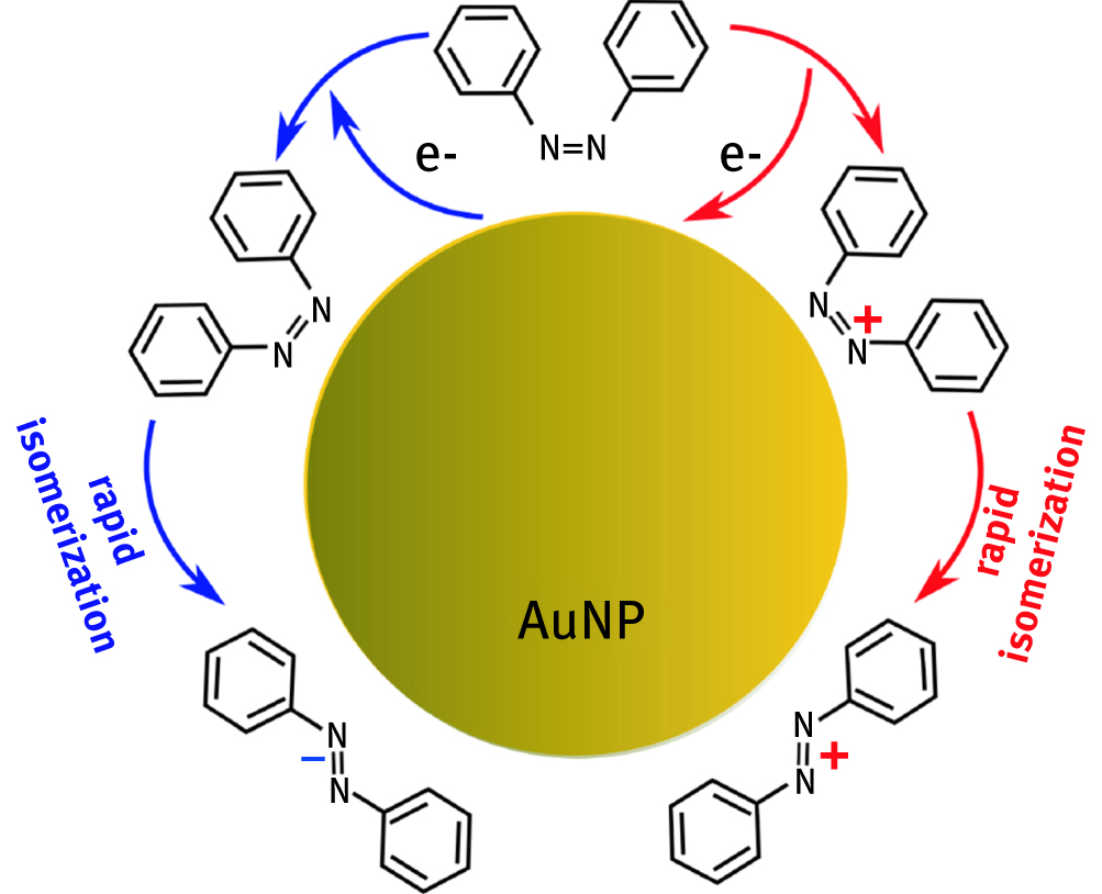 Modeling of Azobenzene-Based Compounds