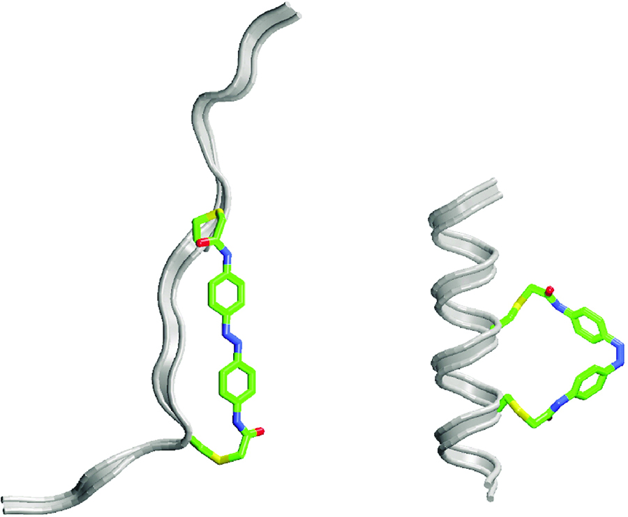 Modeling of Azobenzene-Based Compounds