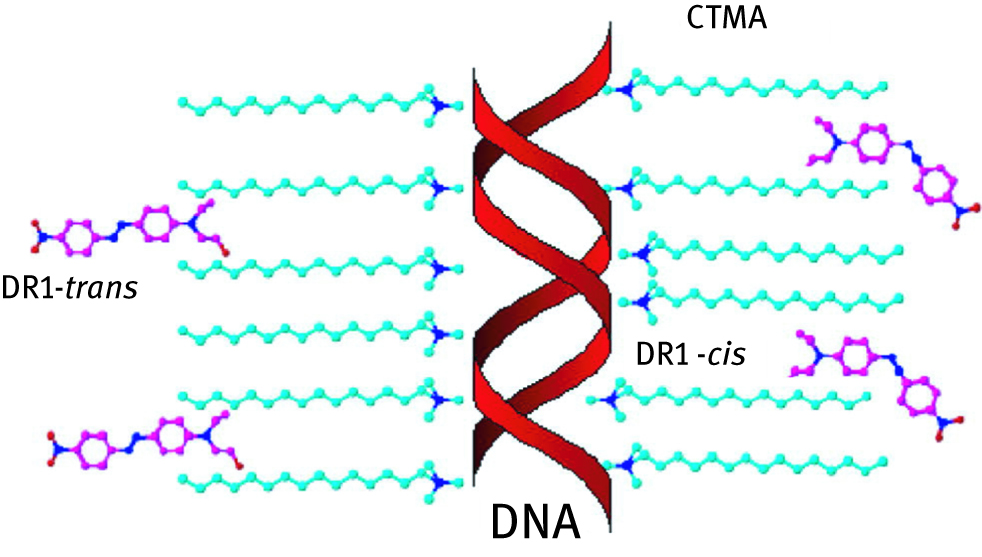 Modeling of Azobenzene-Based Compounds