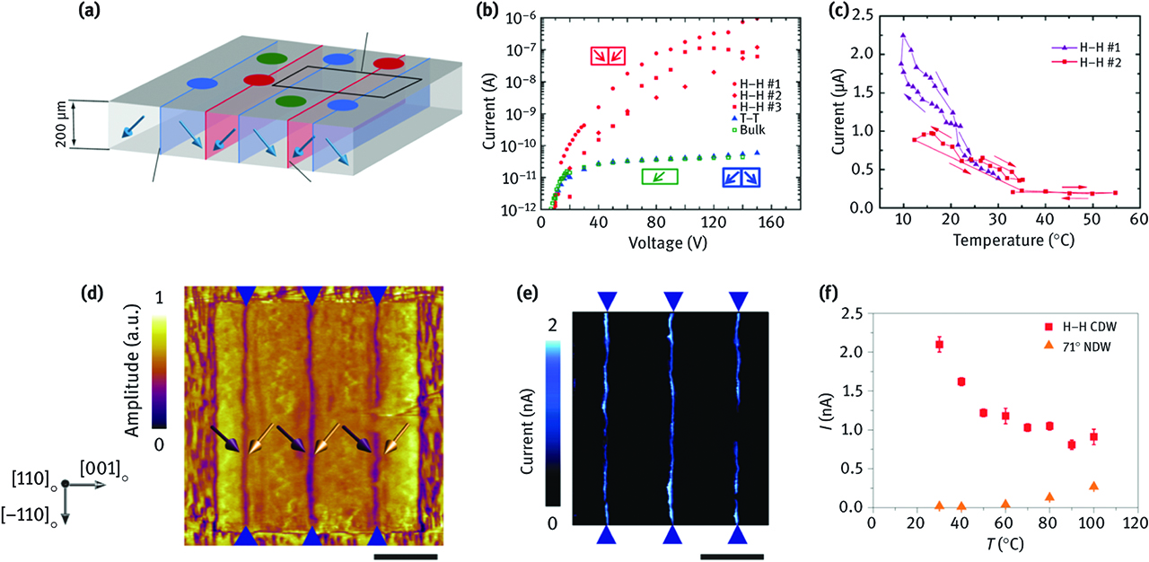 Domains and domain walls in multiferroics