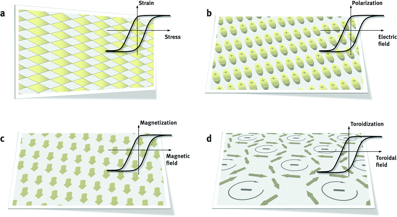 A short history of multiferroics