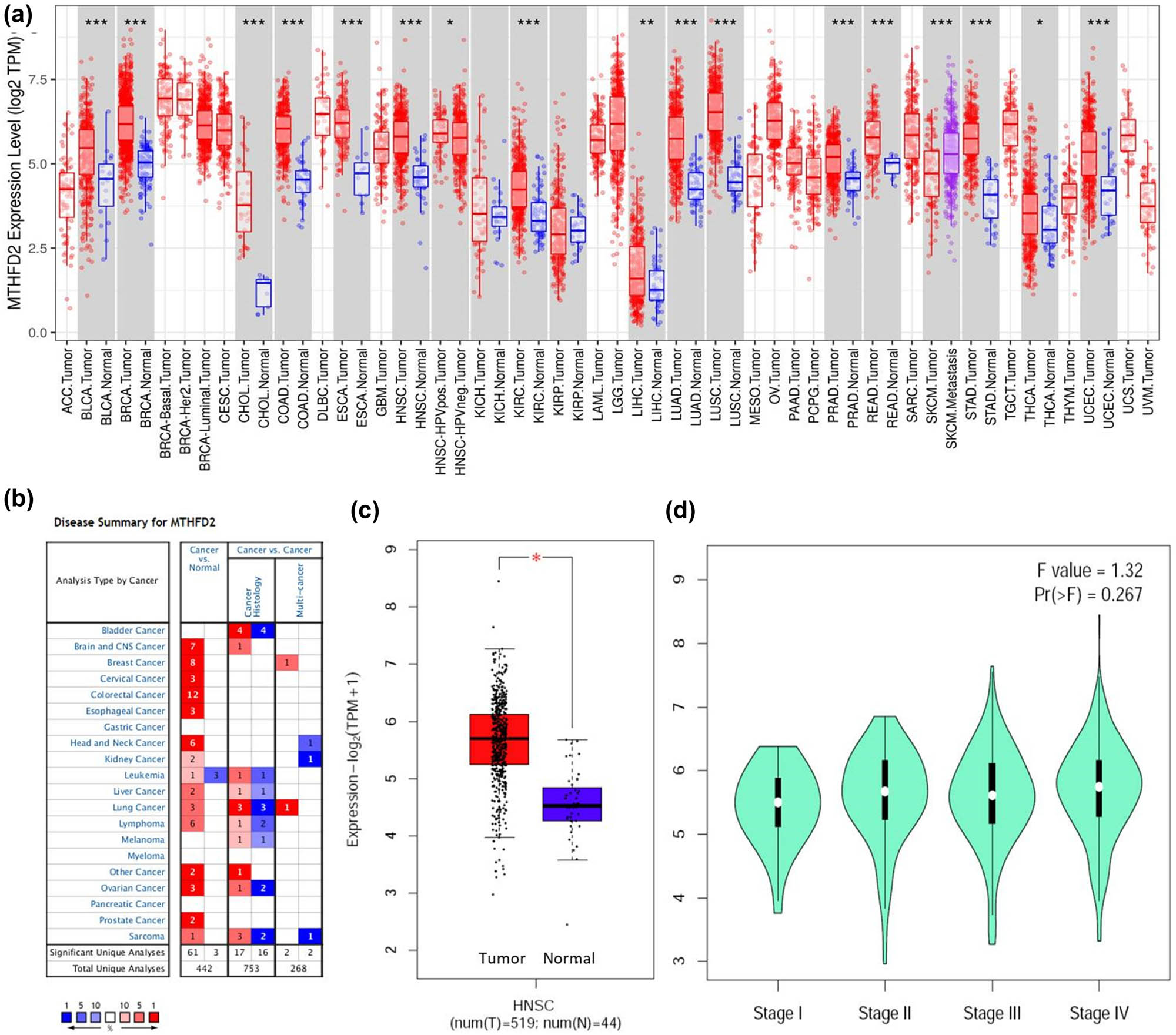Methylene tetrahydrofolate dehydrogenase 2 (MTHFD2) is overexpressed in ...