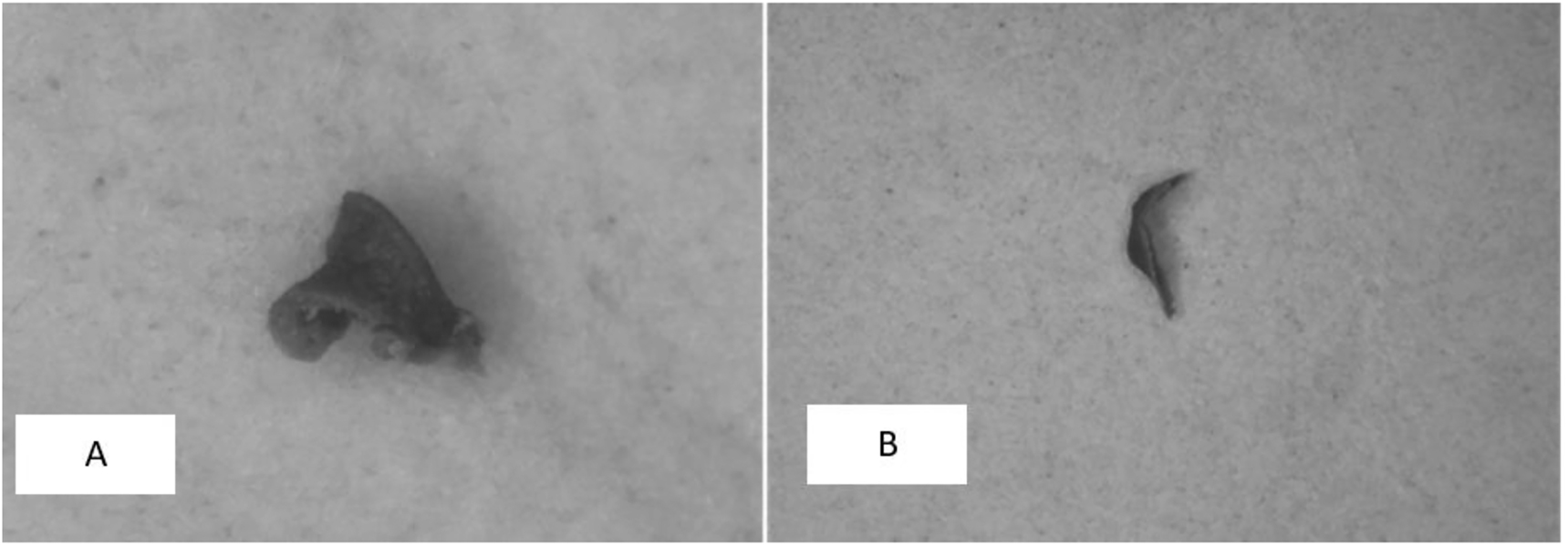 Vial coring and fragmentation incidence after angled penetration of ...