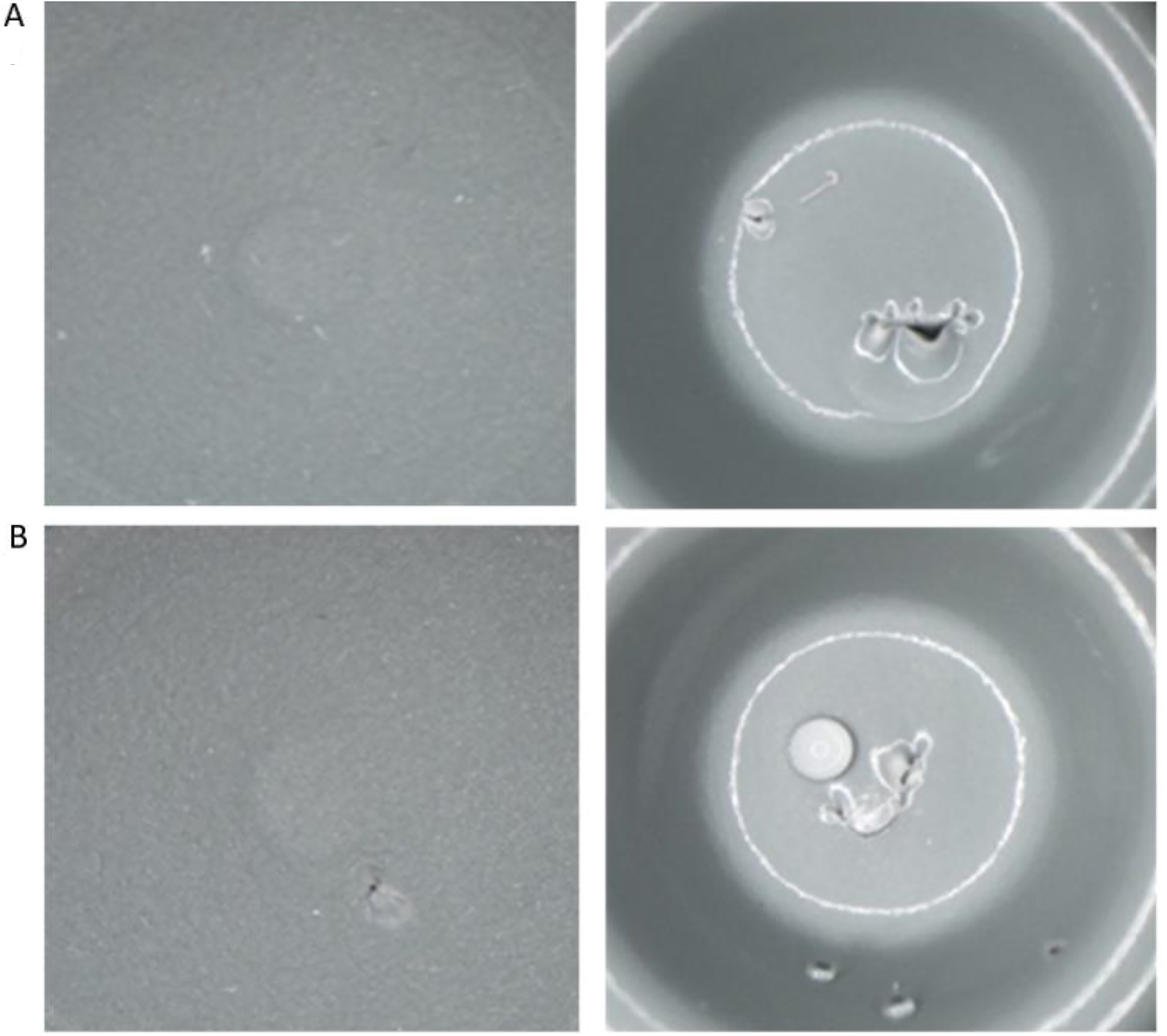 Vial coring and fragmentation incidence after angled pene...
