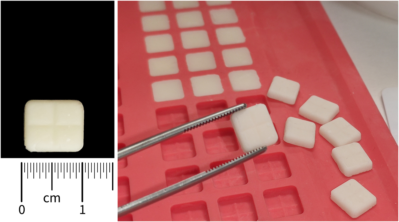 Paediatric orodispersible lozenges produced by moulding process ...