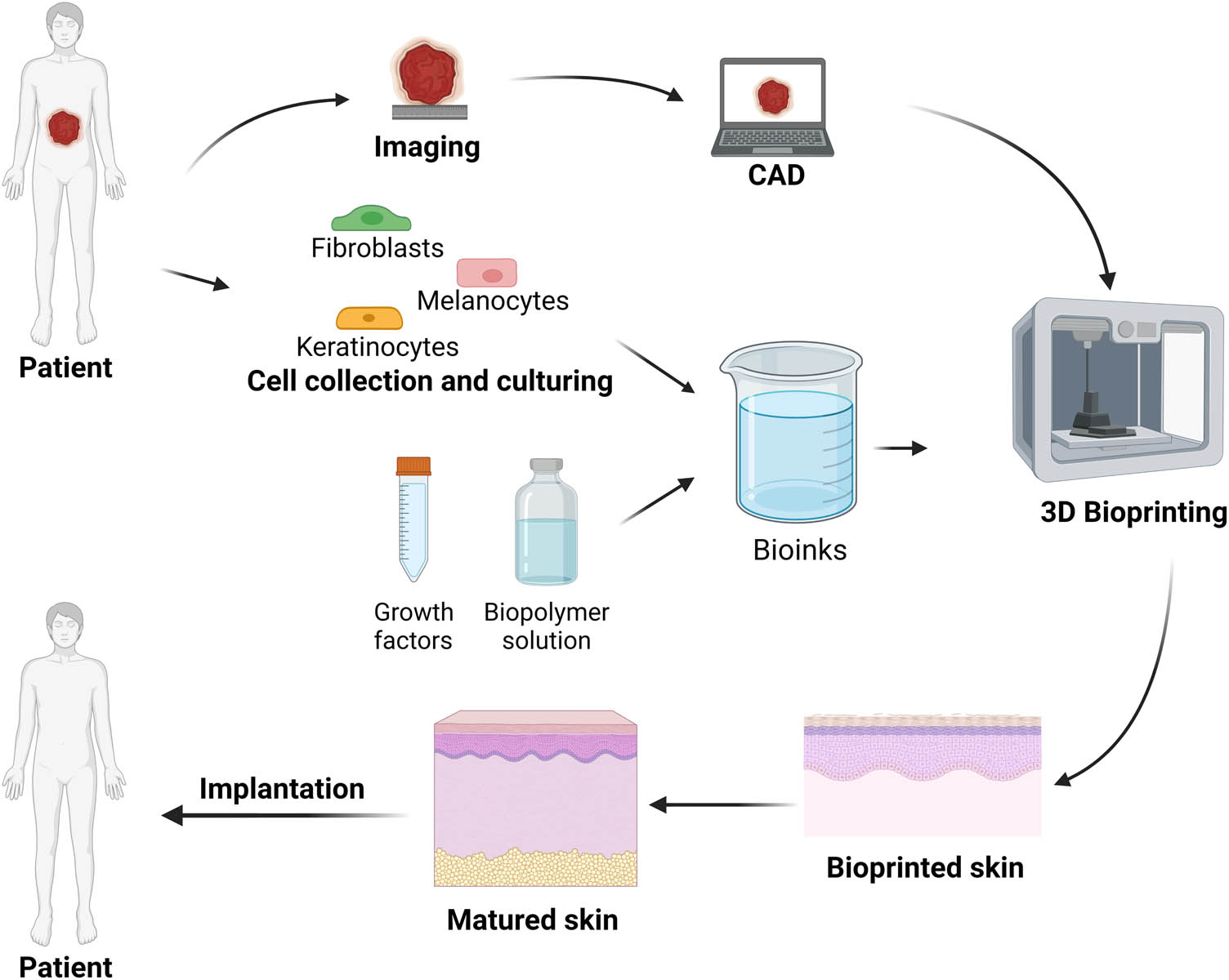 Technological advances in three-dimensional skin tissue engineering