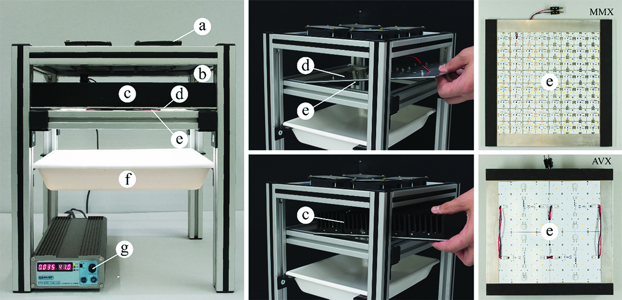 Light Emitting Diodes (LED) for Aqueous Light Bleaching of Paper