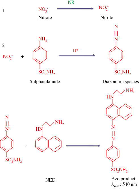 Nitrate quantification: recent insights into enzyme-based...