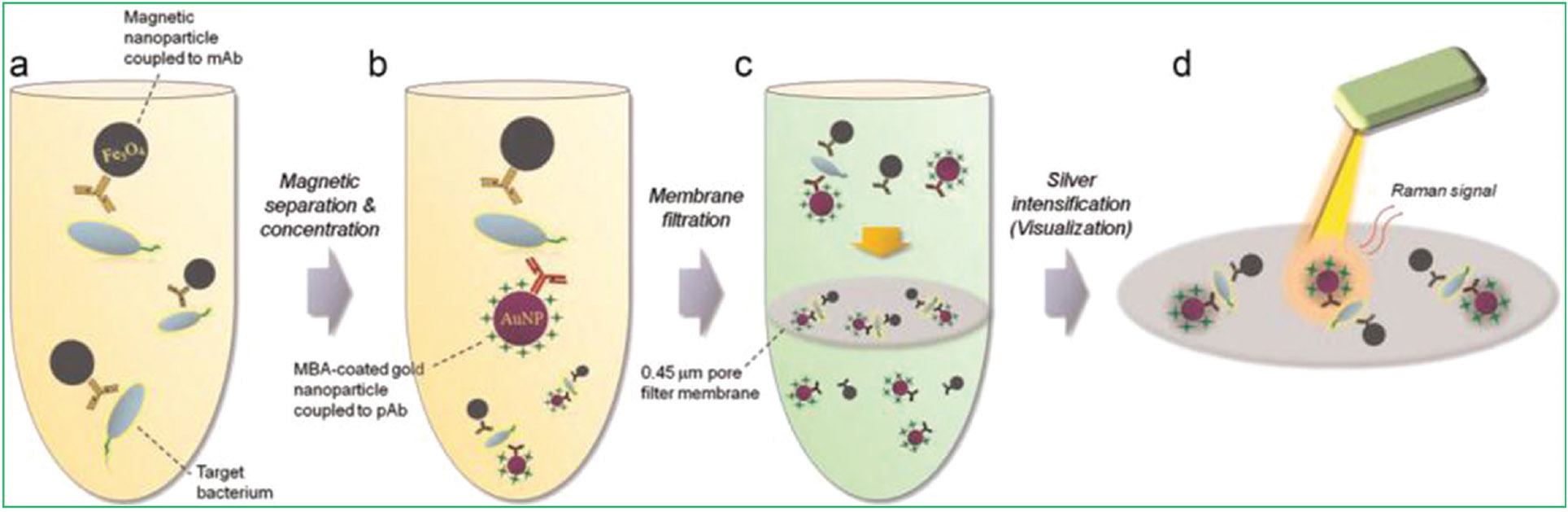 Surface enhanced Raman scattering analysis with filter-based ...