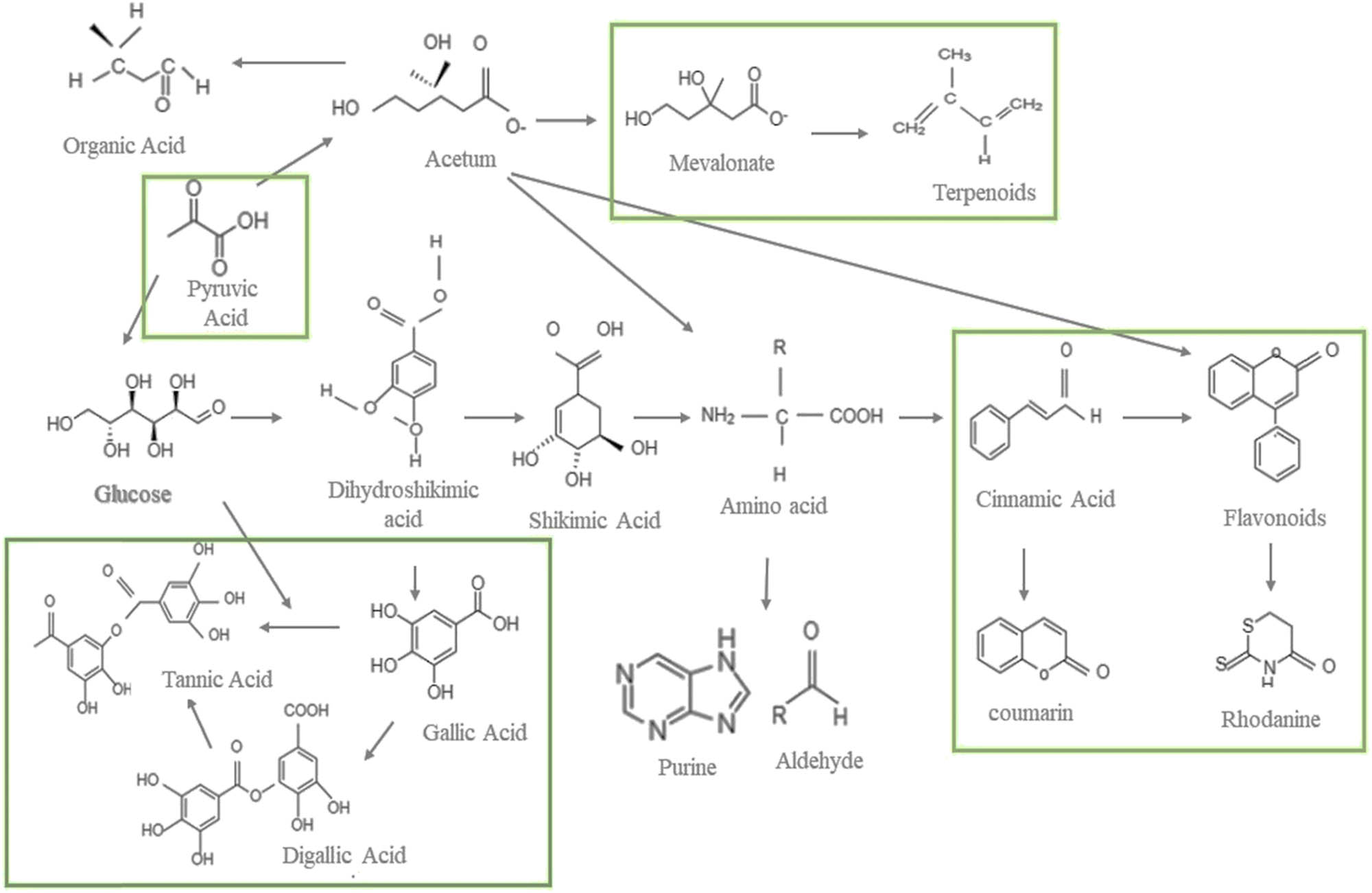Synthesis and extraction routes of allelochemicals from p...