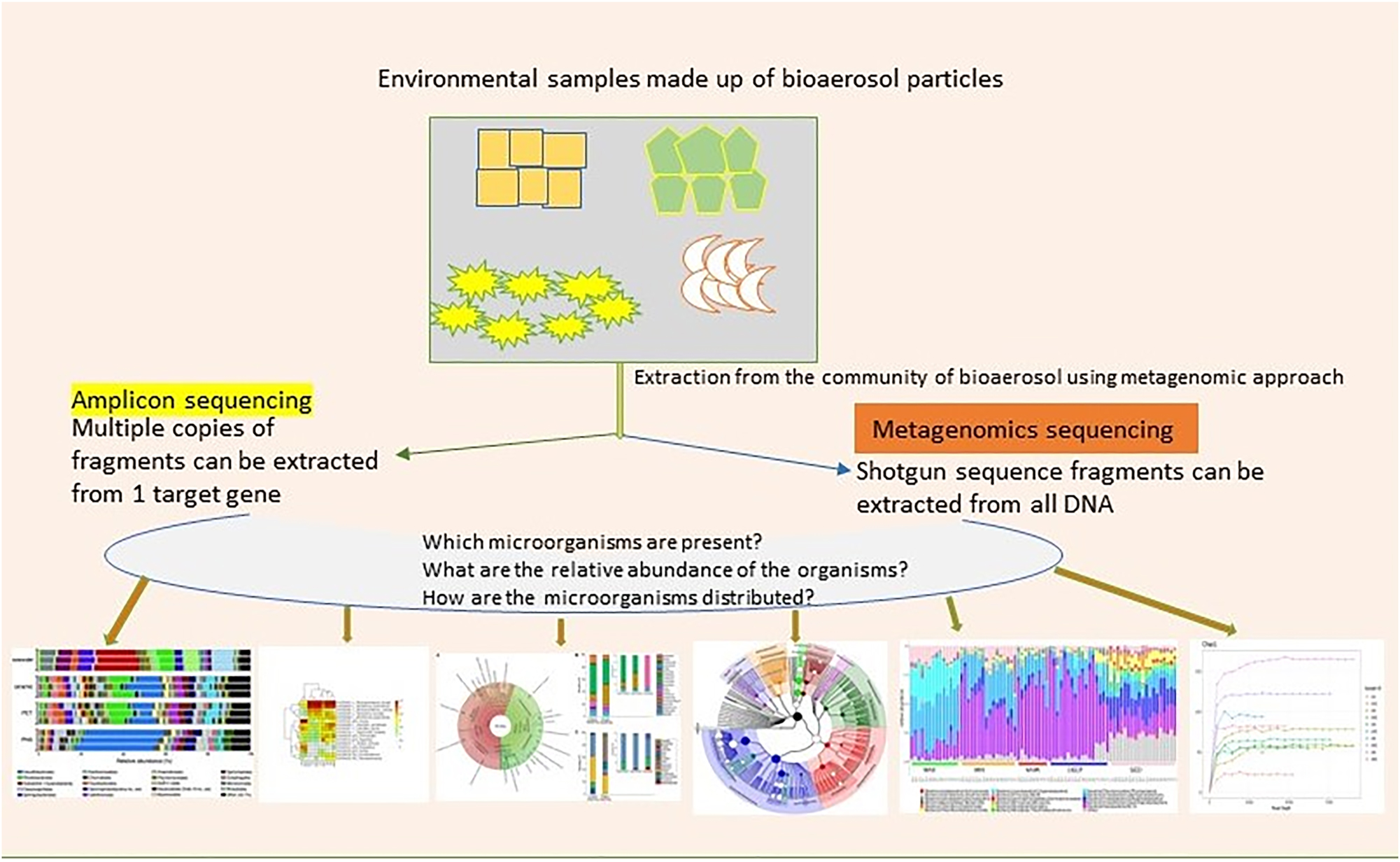 New generation sequencing: molecular approaches for the detection and ...