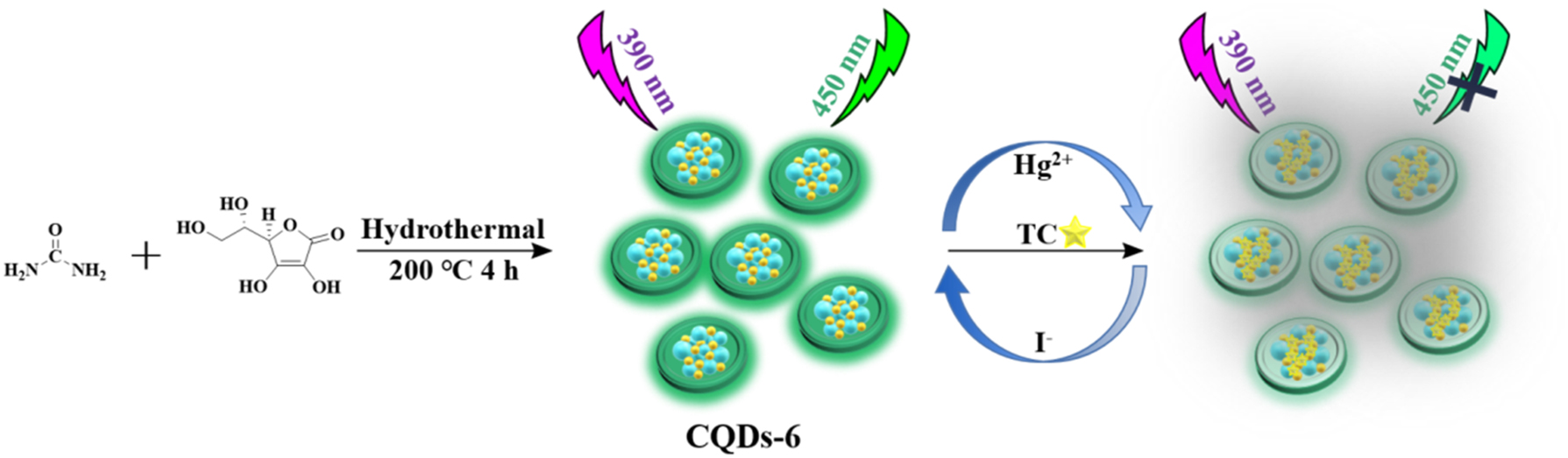 Recent advances in carbon quantum dots for antibiotics detection