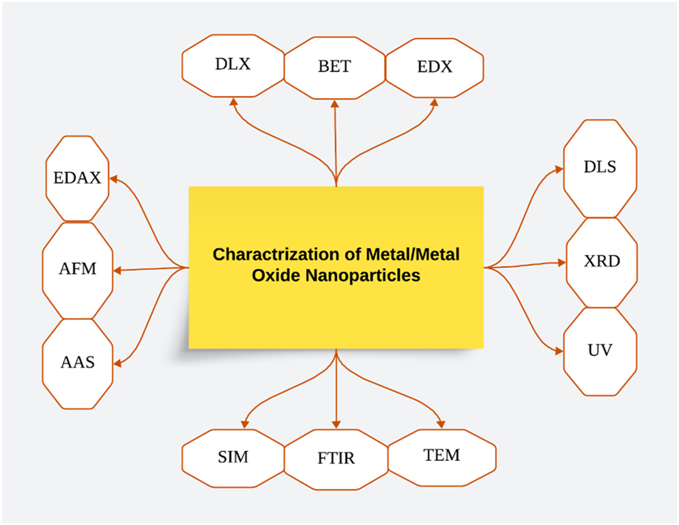 A comprehensive overview of fabrication of biogenic multifunctional ...