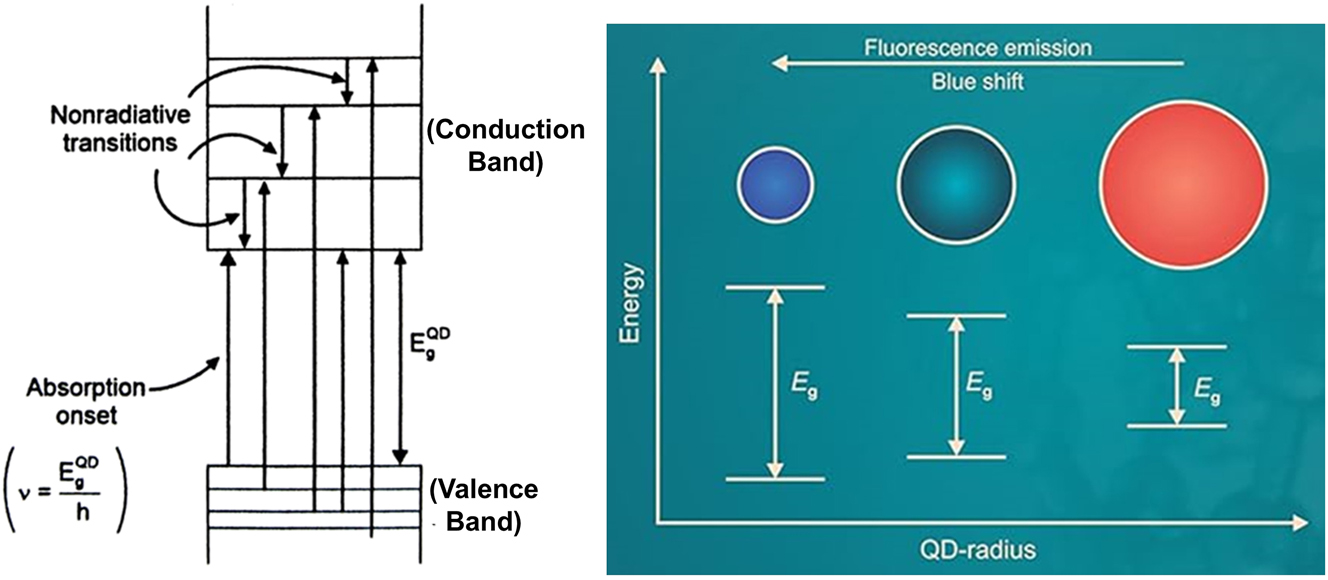 Nanotechnology of colour: quantum dots (QDs), photonic crystals (PCs ...