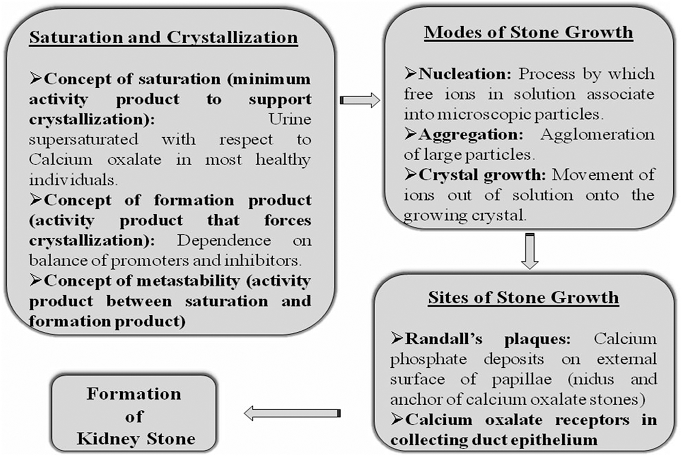 A review: evaluating methods for analyzing kidney stones ...