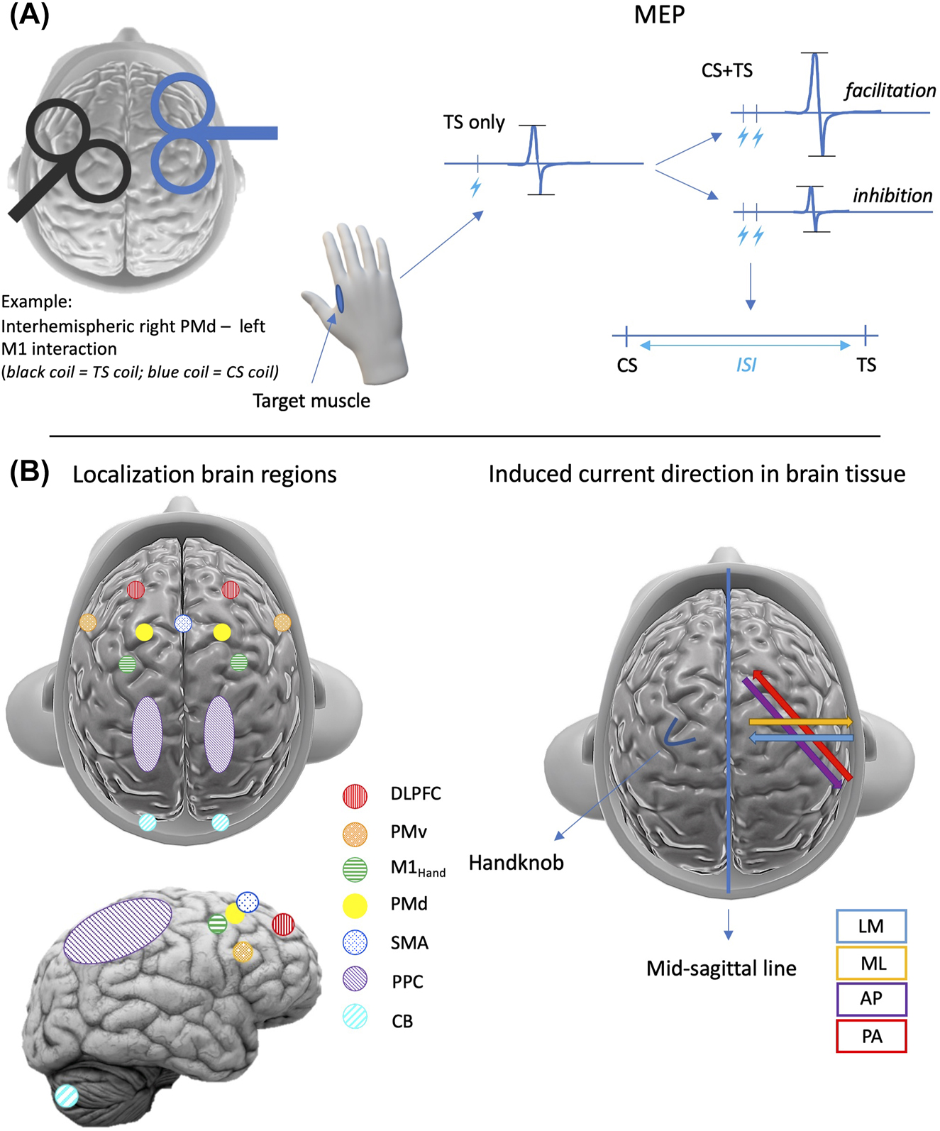 Dual-site TMS as a tool to probe effective interactions within the ...