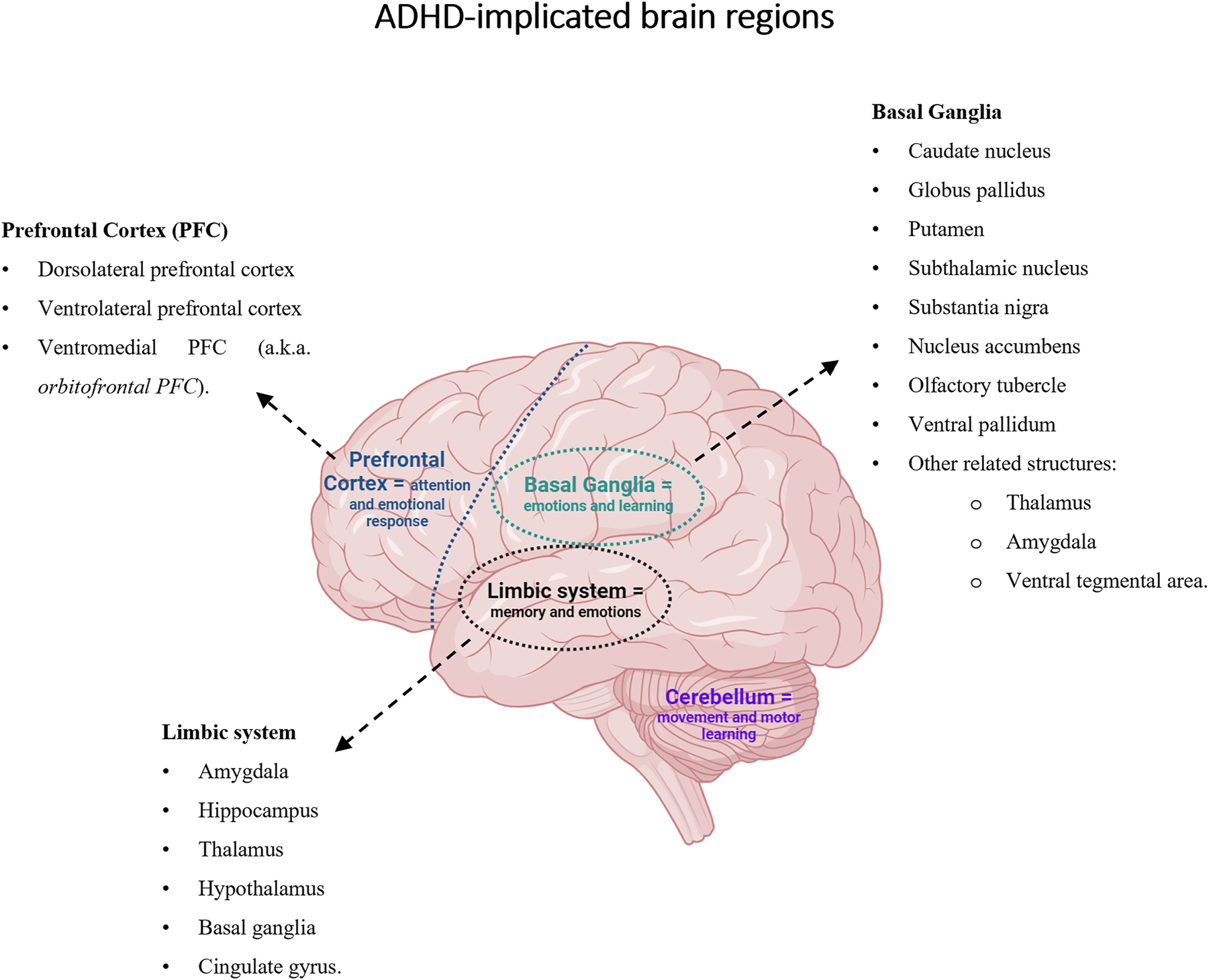 Adult ADHD: it is old and new at the same time – what is it?