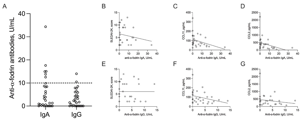 Insights into the clinical and immunological significance of anti-α ...