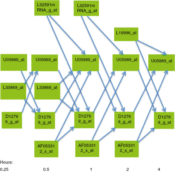 Bayesian state space models for dynamic genetic network construction ...