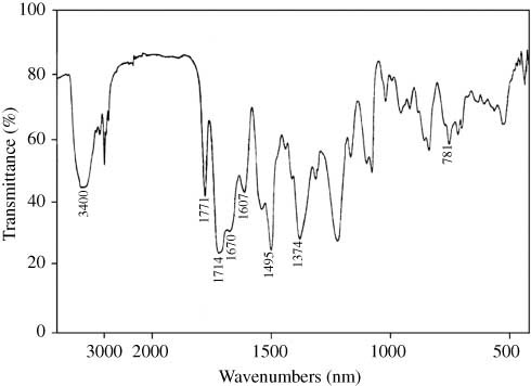 New thermally stable poly(amide-imide)/montmorillonite reinforced ...