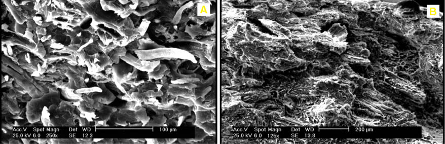 The interaction of delignification and fiber characteristics on the ...