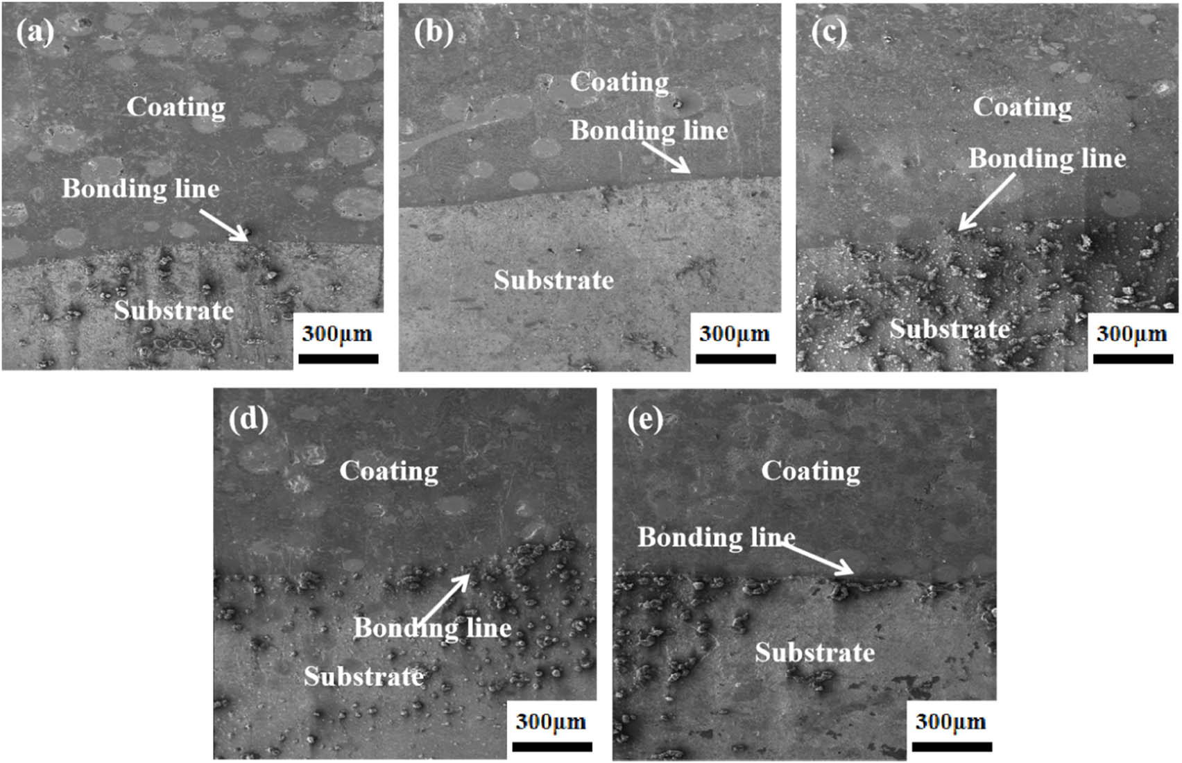 Wear and corrosion mechanisms of Ni–WC coatings modified with different ...