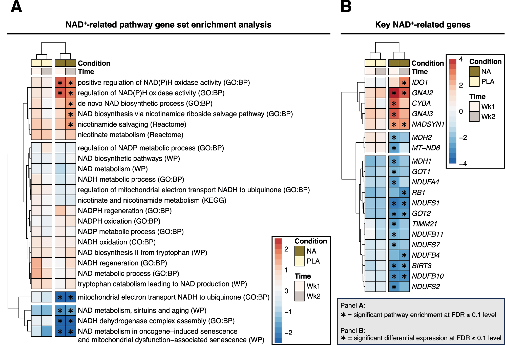 Nicotinic acid improves mitochondrial function and associated ...