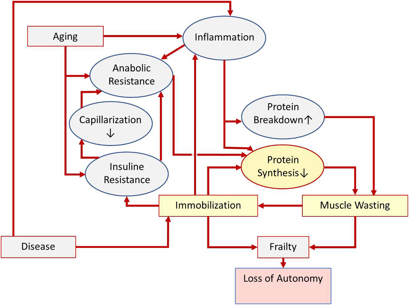 Therapeutic resistance training: proposal for an algorithm-based approach