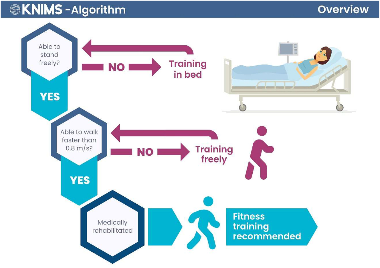 Therapeutic resistance training: proposal for an algorithm-based approach