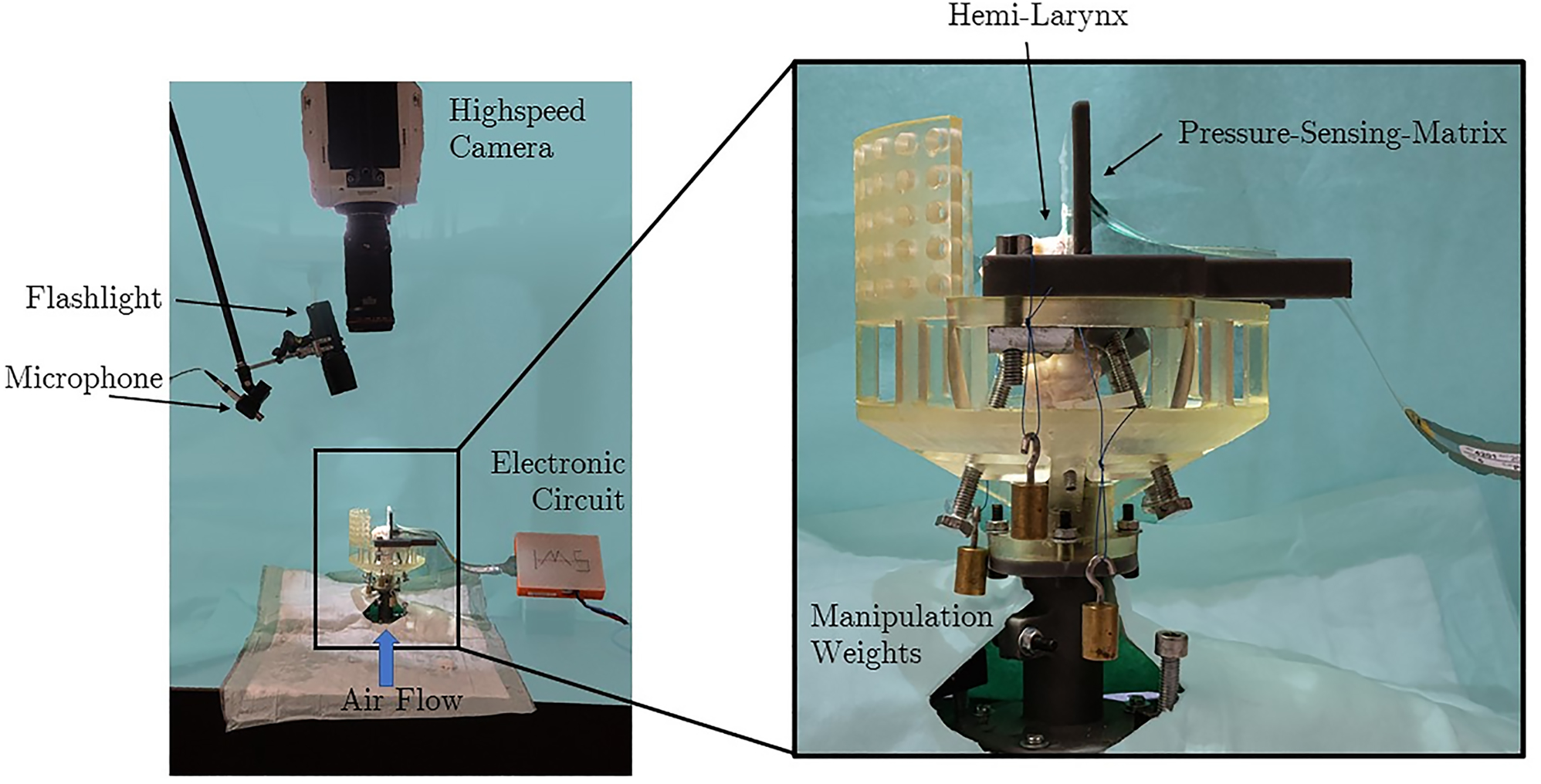 What kind of phonation causes the strongest vocal fold collision? – A ...