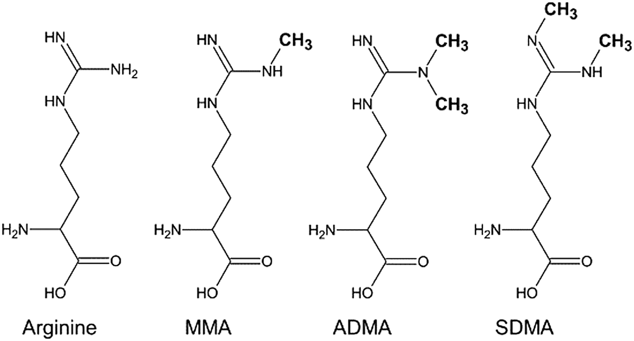 HPLC and LC-MS/MS measurement methods for the quantification of ...