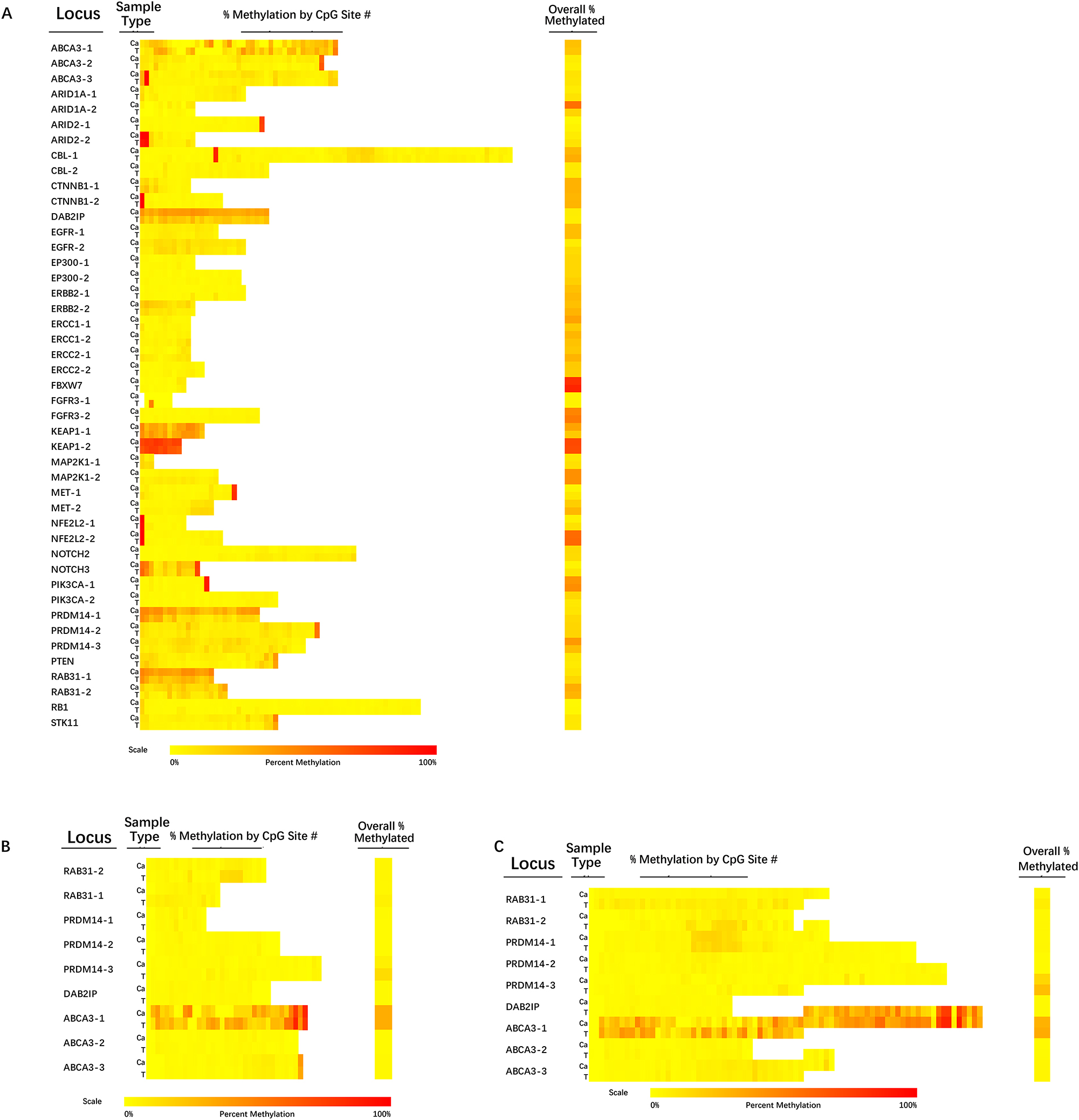 Revealing distinct DNA methylation patterns in hepatic carcinoma ...