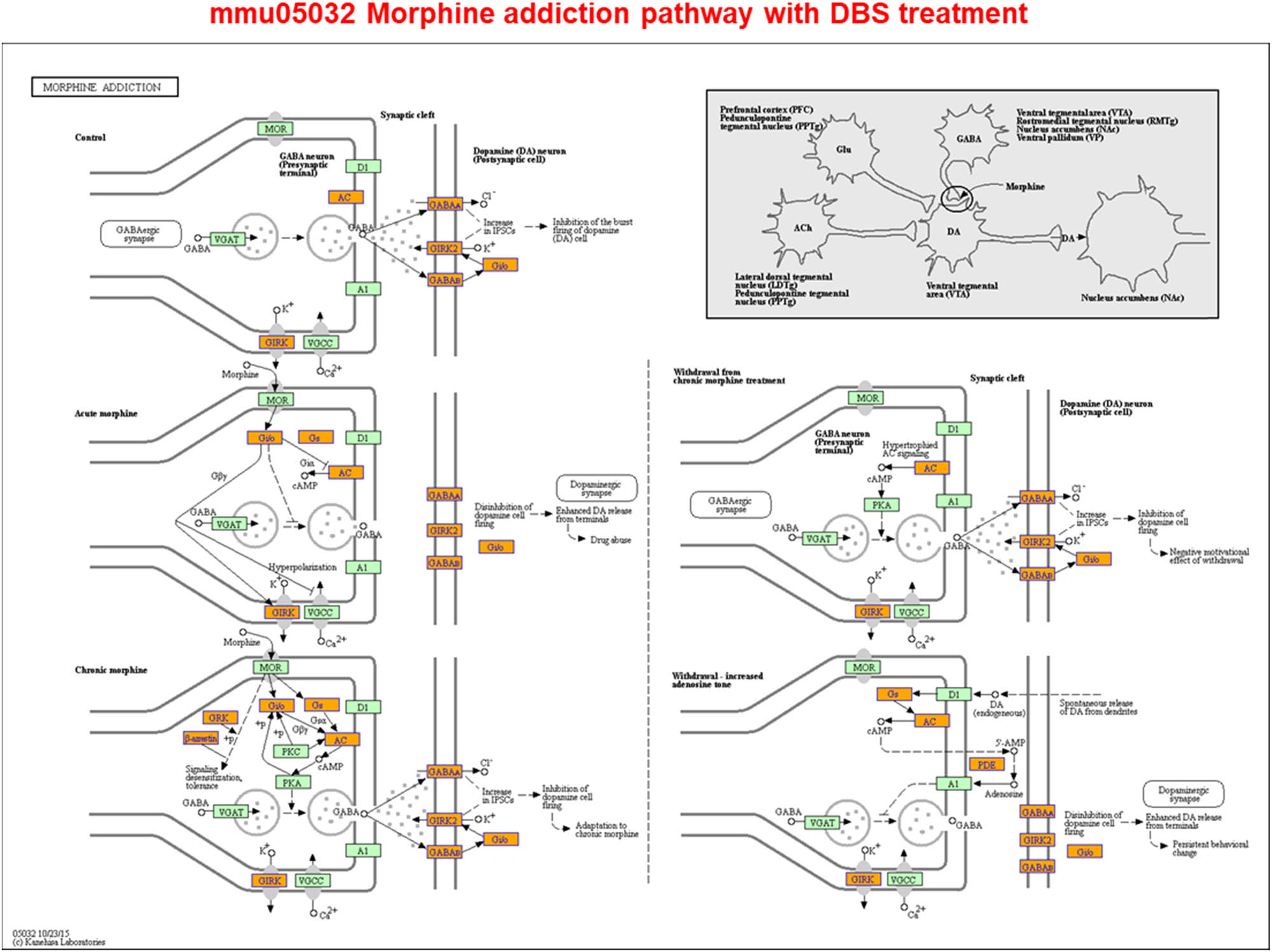 Epitranscriptome of the ventral tegmental area in a deep brain ...