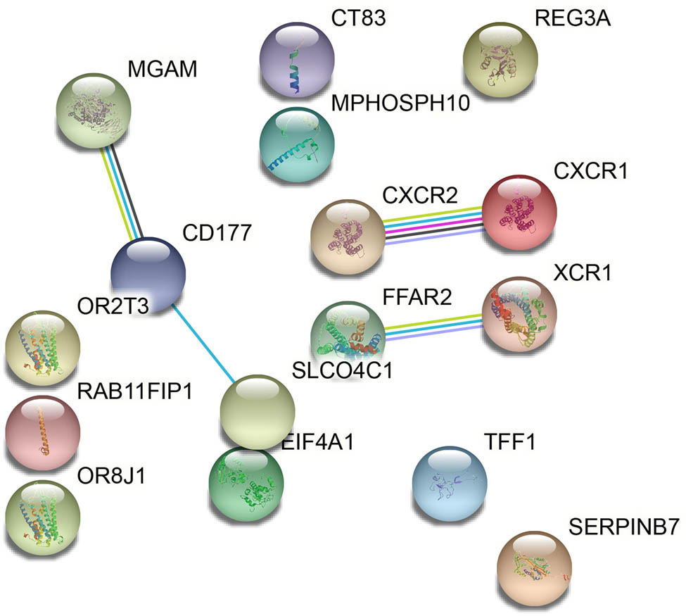 The clinical significance of glutathione peroxidase 2 in glioblastoma ...