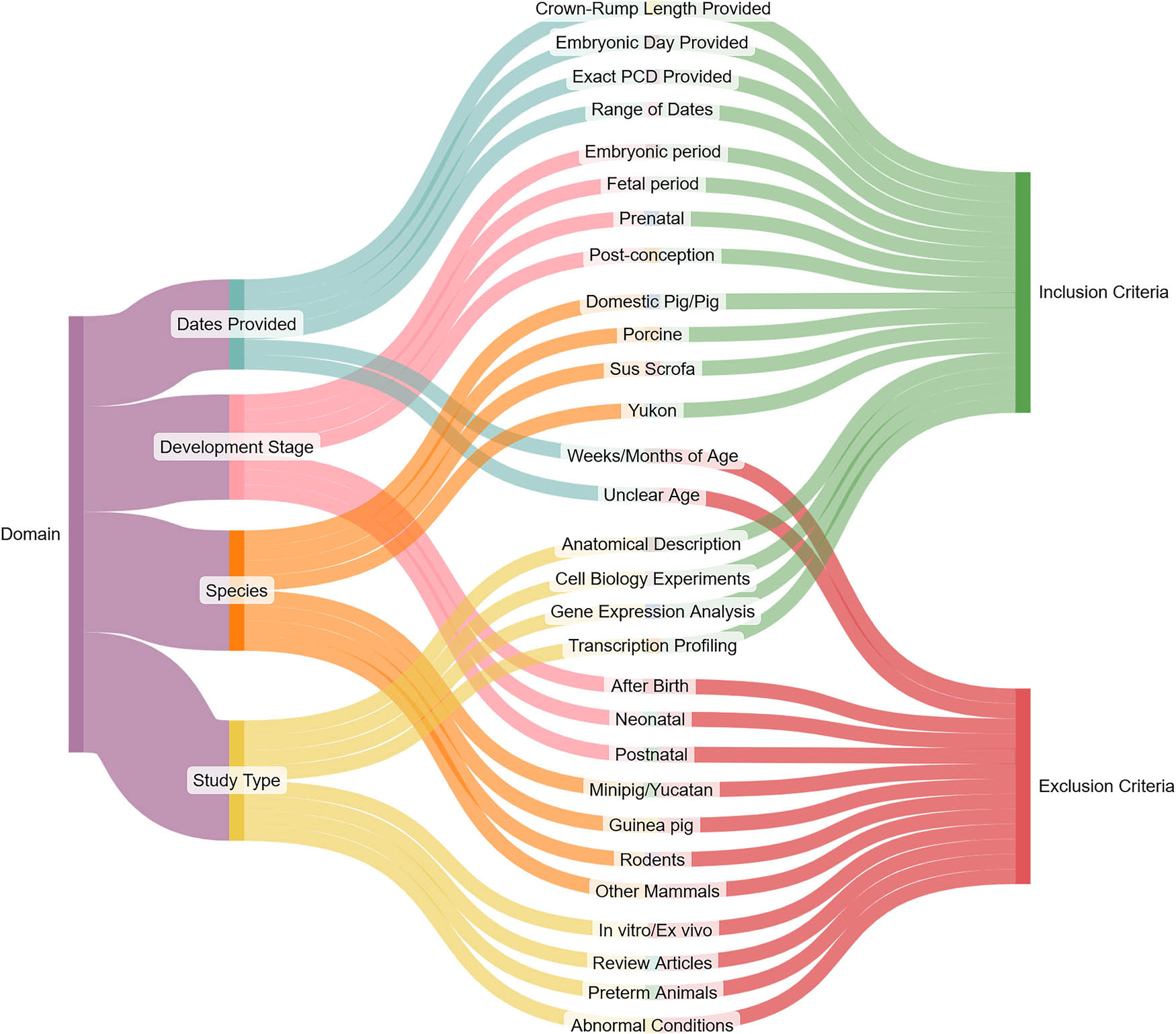 Establishing the pig as a translational animal model for neurodevelopment